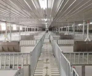 PVC Ceiling Panels | Waterproof & Durable - JC Panel