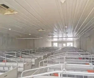 PVC Ceiling Panels | Waterproof & Durable - JC Panel